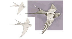 how to draw harry potter bird