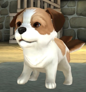 Jacob's sibling's Crup | Harry Potter Wiki | Fandom