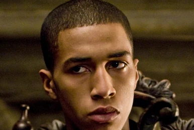 Tracy Davis Harry Potter