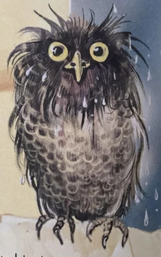 Rubeus Hagrid's owl | Harry Potter Wiki | Fandom