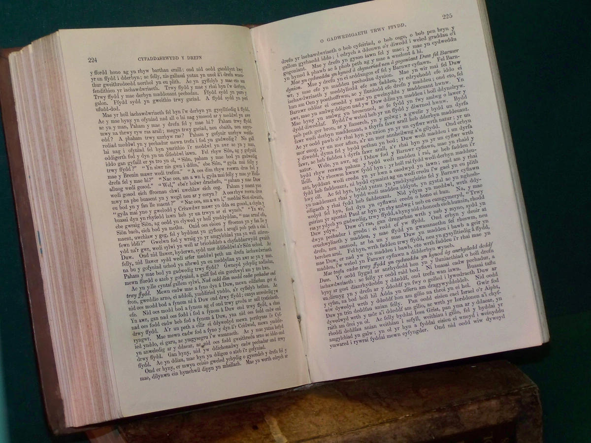 Cyfaddasrwydd y Drefn o Gadwedigaeth trwy Ffydd | Harry Potter Wiki ...