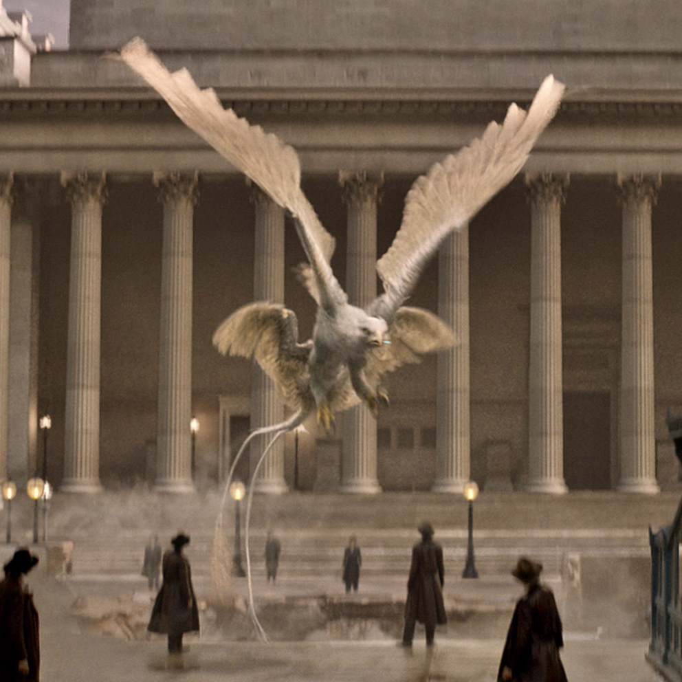 Frank | Wiki Harry Potter | Fandom