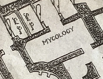 Mycology | Harry Potter Wiki | Fandom