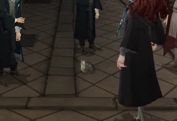 Fry | Harry Potter Wiki | Fandom