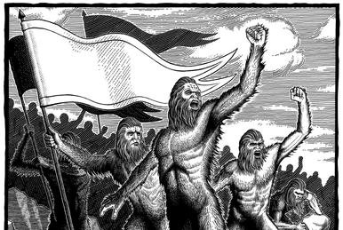 kendra dumbledore grave