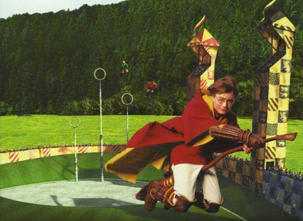 Speider | Harry Potter | Fandom