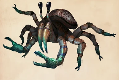 Unicornios Harry Potter Unicorn | Harry Potter Wiki | Fandom