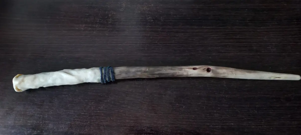 Delphini's wand | Harry Potter Wiki | Fandom