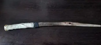 Delphini's wand | Harry Potter Wiki | Fandom