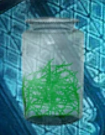 Cocleária | Harry Potter Wiki | Fandom