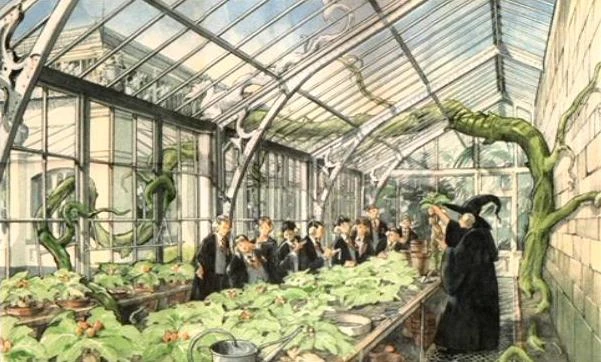 Harry Potter Herbology Class