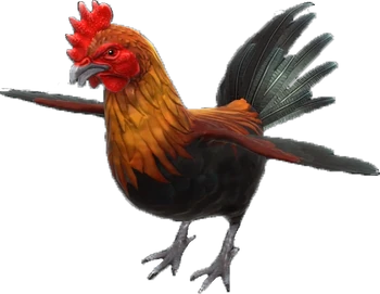Fire-breathing chicken | Harry Potter Wiki | Fandom