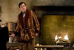 Horace Slughorn | Harry Potter Wiki | Fandom