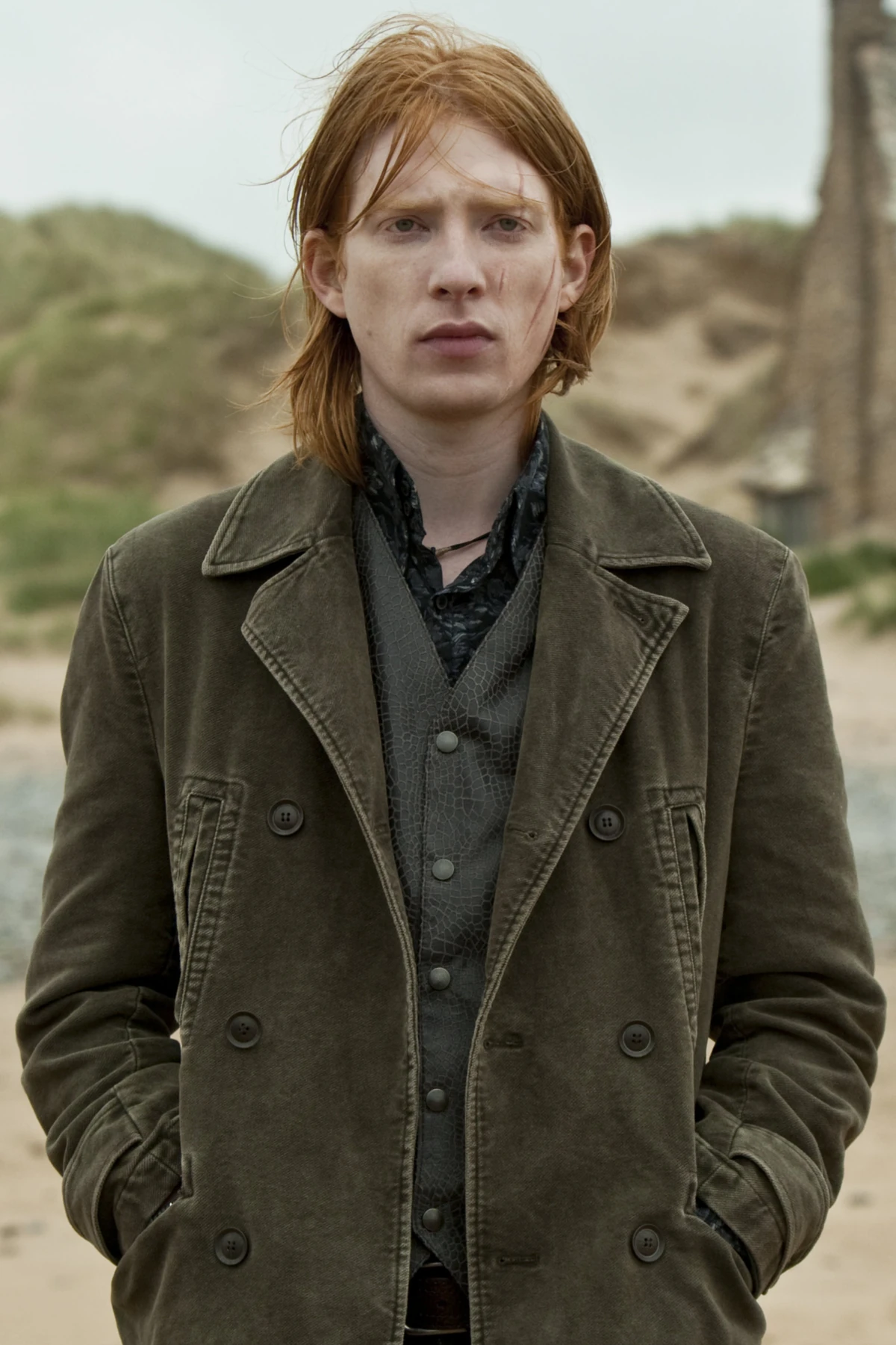 William Weasley | Harry Potter Wiki | Fandom