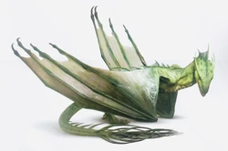 Common Welsh Green | Harry Potter Wiki | Fandom