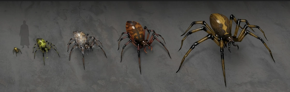 Spider | Harry Potter Wiki | Fandom