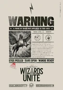 Statute of Secrecy Task Force | Harry Potter Wiki | Fandom