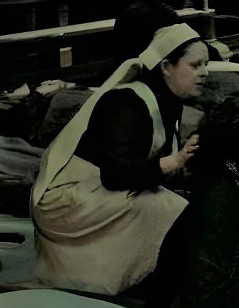 Wainscott | Harry Potter Wiki | Fandom