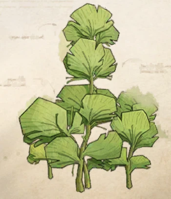 Fanwort | Harry Potter Wiki | Fandom