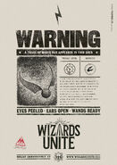 Statute of Secrecy Task Force | Harry Potter Wiki | Fandom