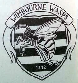 Osy z Wimbourne | Harry Potter Wiki | Fandom