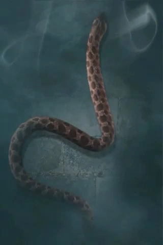 Common adder | Harry Potter Wiki | Fandom