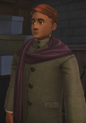 Unidentified Hit Wizard | Harry Potter Wiki | Fandom