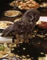 Errol | Harry Potter Wiki | Fandom