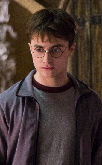 Harry Potter | Harry Potter Wiki | Fandom