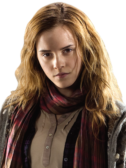 Hermione Granger Hair Straight