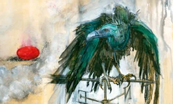 Augurey | Harry Potter Wiki | Fandom