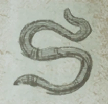 Blind-worm | Wiki Harry Potter | Fandom