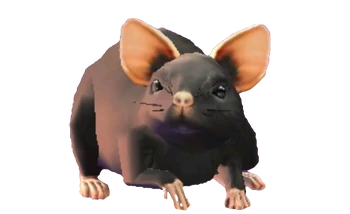 Black Rat | Harry Potter Wiki | Fandom