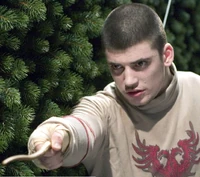 Viktor Krum's wand | Harry Potter Wiki | Fandom