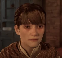 Solomon Sallow | Harry Potter Wiki | Fandom