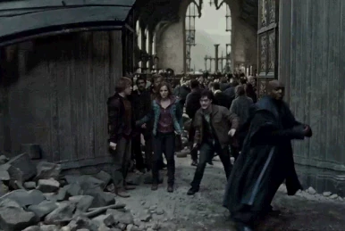Impedimenta Harry Potter