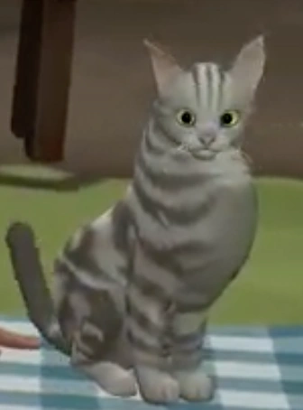 Alanza Alves's cat | Harry Potter Wiki | Fandom