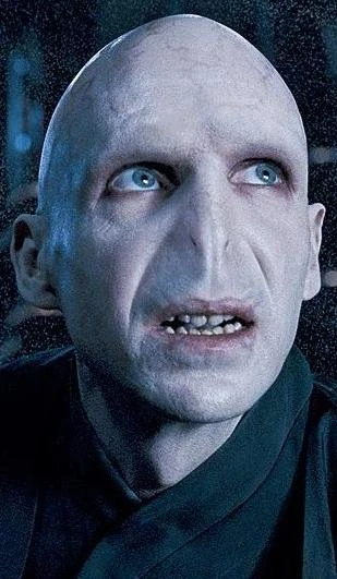 Harry Potter Wiki:Harry Potter Wiki Projects/Project Snakeface | Harry ...