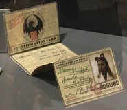 Magical Congress of the United States of America Identity Card | Harry ...