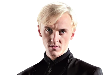 Tracey Davis Y Harry Potter BREAKING🚨New HARRY POTTER Reality Show