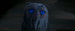 Demiguise | Harry Potter Wiki | Fandom