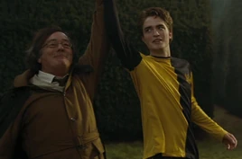 Famille Diggory | Wiki Harry Potter | Fandom