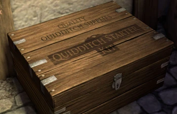 Quidditch Starter Kit | Harry Potter Wiki | Fandom