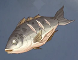 Clearwater Fish | Harry Potter Wiki | Fandom