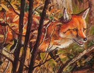 how to draw a fox patronus