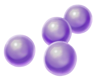 Puffapod Seedpod | Harry Potter Wiki | Fandom