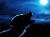 Kategoria:Magiczne stworzenia | Harry Potter Wiki | Fandom
