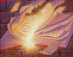 Sortilège de Découpe | Wiki Harry Potter | Fandom