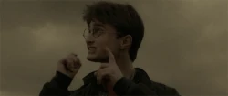 Funeral of Aragog | Harry Potter Wiki | Fandom