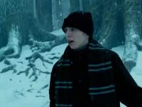 Pike | Harry Potter Wiki | Fandom